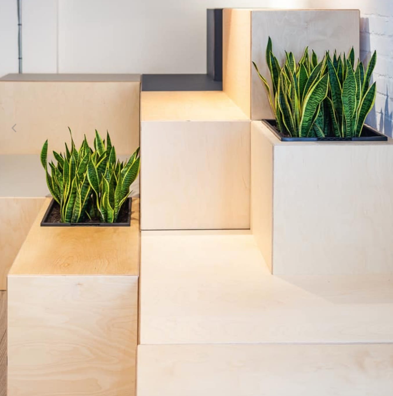 12 Environmental Features of Biophilic Design - Workagile