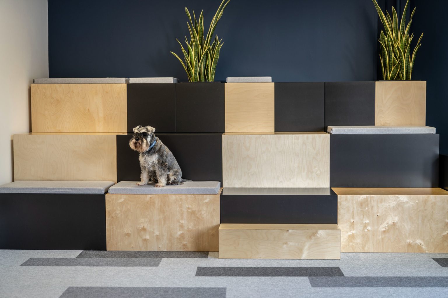 KOMODO: Achieving maximum potential with Huddlebox