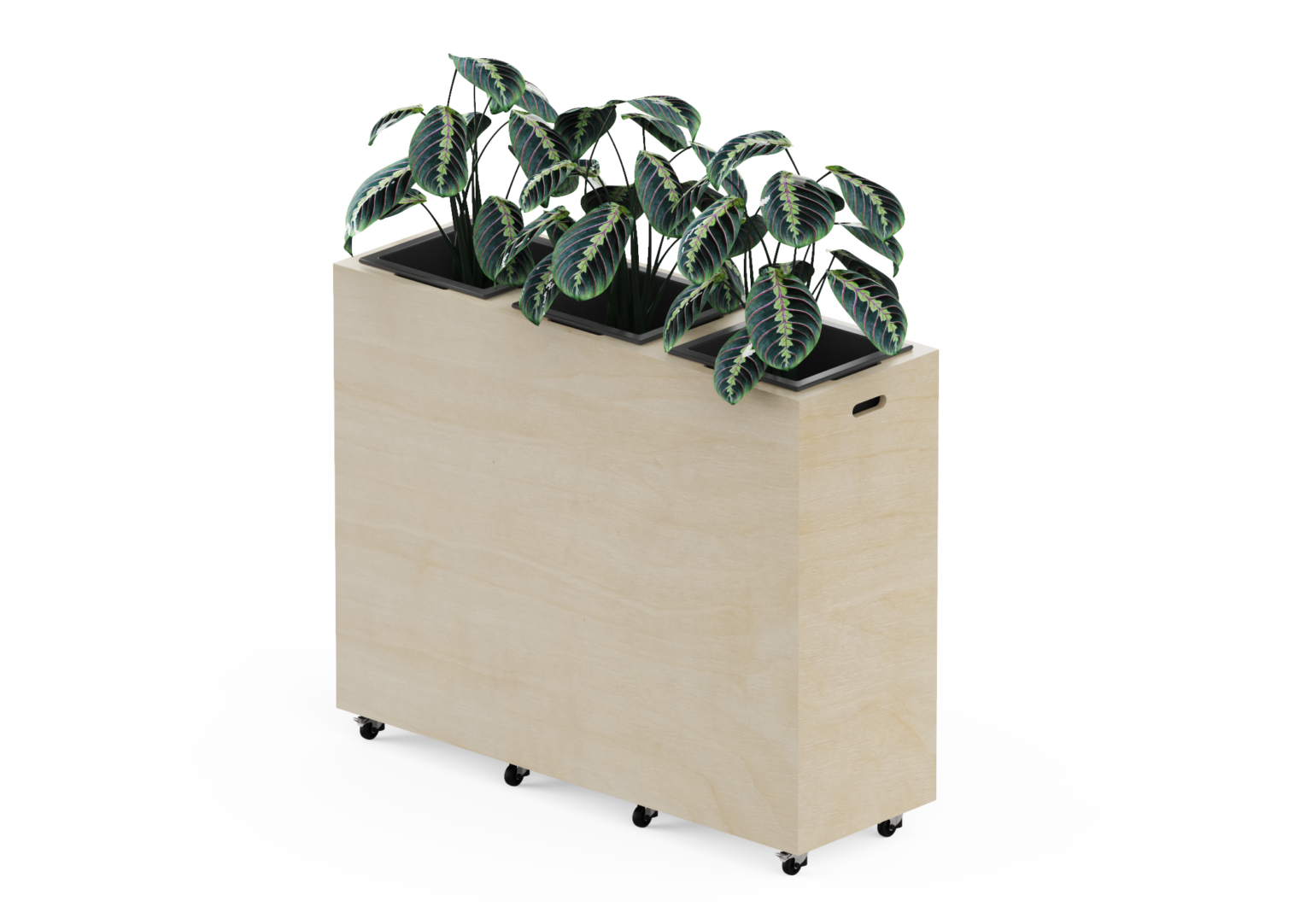 Huddlebox® Borders: 1 Way to Transform Your Workspace into a Natural ...